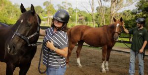 Equine Assisted Learning | Willowwood